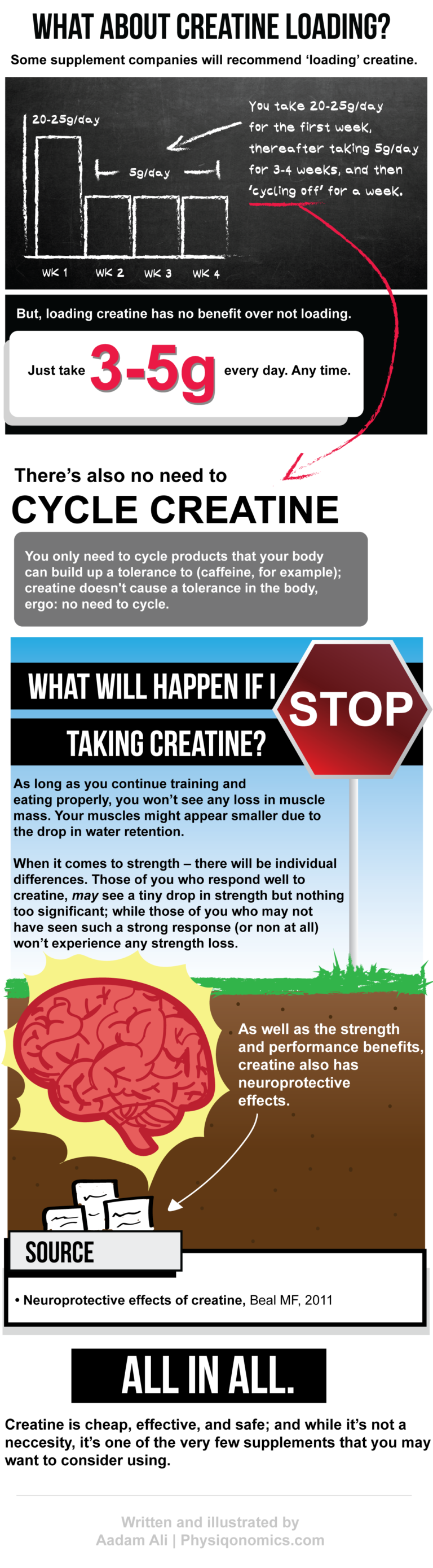 Creatine: Illustrated | Physiqonomics