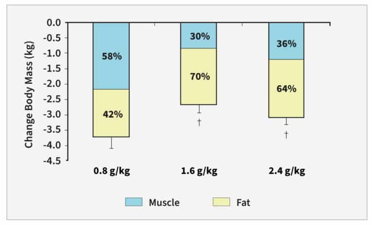 How To Prevent Muscle and Strength Loss When Dieting | Physiqonomics