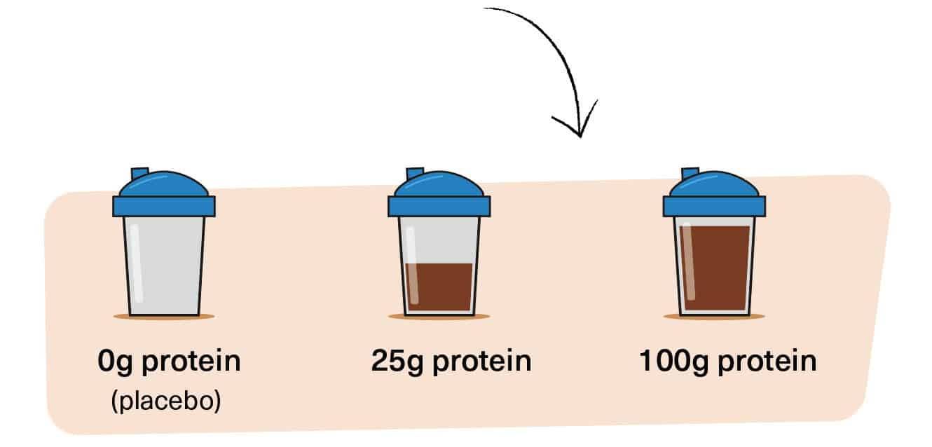 Is There a Limit to How Much Protein You Can Absorb in a Meal ...