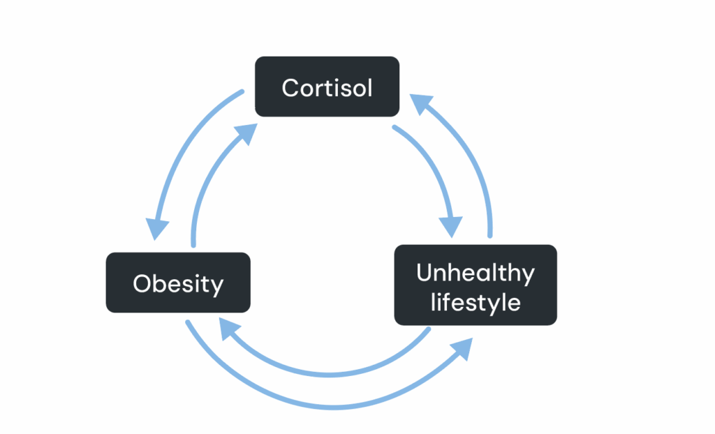 Does Cortisol Make You Fat? What Science Really Says About the Stress ...