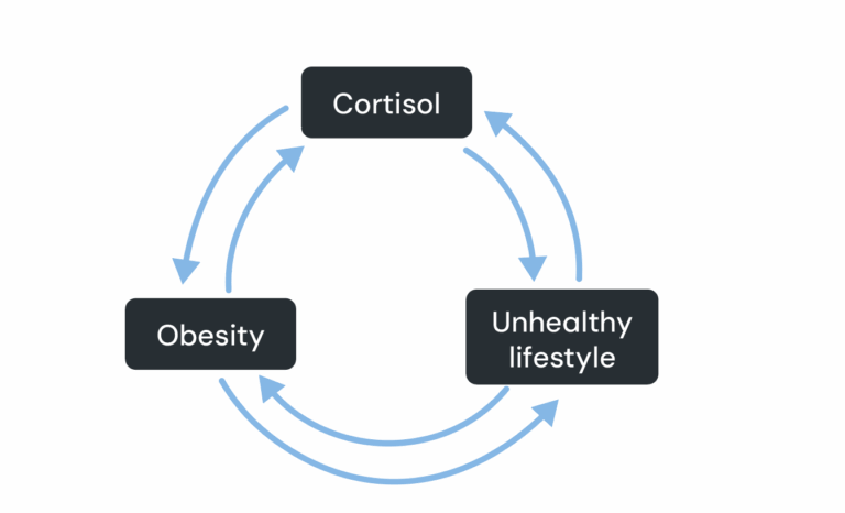 Does Cortisol Make You Fat? What Science Really Says About the Stress ...